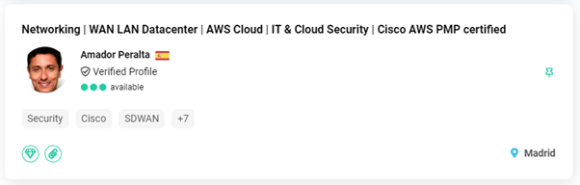Professional Headline For Freelancers: Your Freelance Title + Examples
