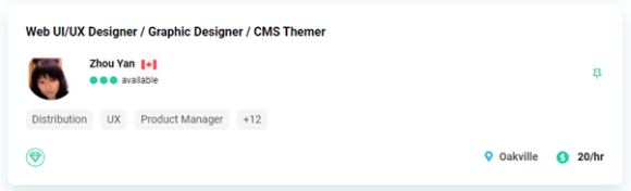 Professional Headline For Freelancers: Your Freelance Title + Examples